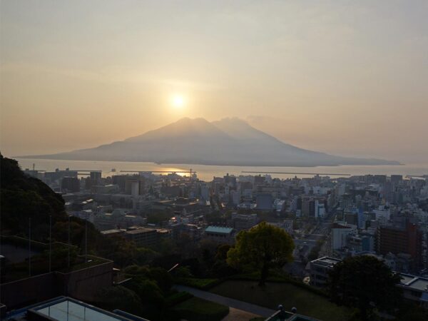9 Things to Know About Hachiko – Japan’s Most Devoted Dog - Your Japan