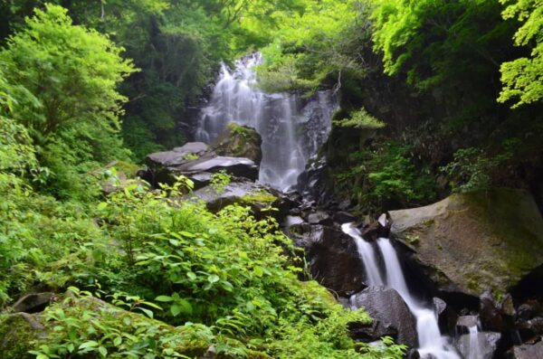 Top 15 Japan Instagram Accounts You Need to Follow - Your Japan