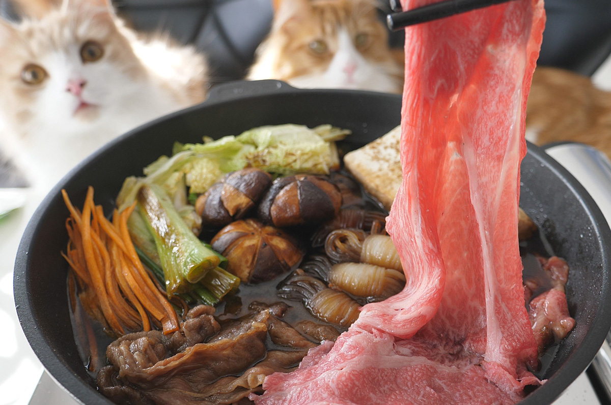 Top 15 Japanese Food Bloggers You Should Definitely Check Out