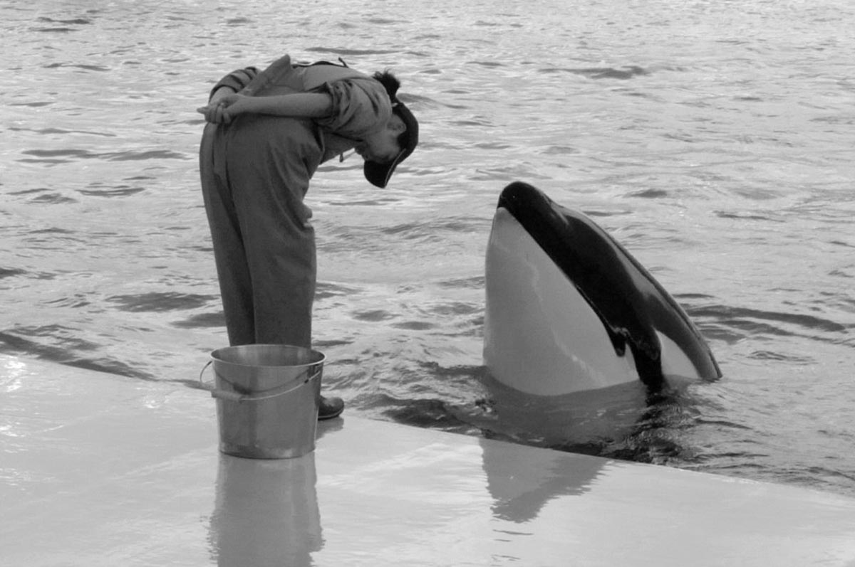 How Do You Properly Bow in Japan? (infographic) - Your Japan