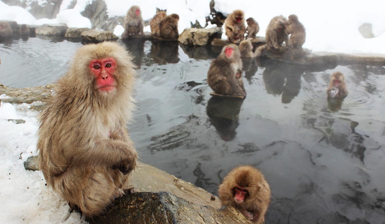 7 Must-Visit Rural Areas in Japan Outside of Tokyo - Your Japan