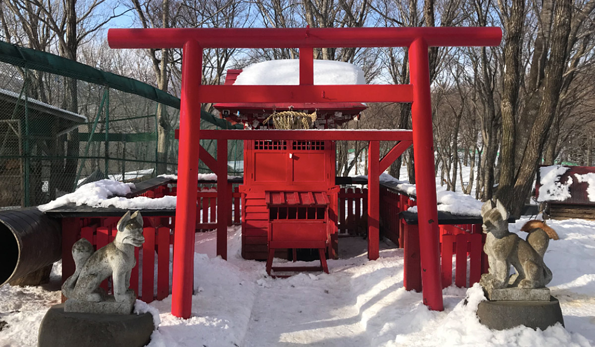 Zao Fox Village Travel Guide - Visit the cute fox village in Japan