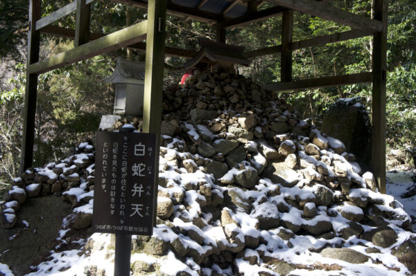 Tokyo to Mount Tsukuba: Day Trip Itinerary - Your Japan