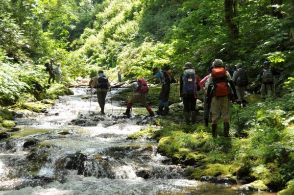 7 Must-Visit Rural Areas in Japan Outside of Tokyo - Your Japan