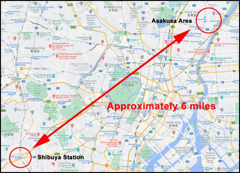 9 Things to Know About Hachiko – Japan’s Most Devoted Dog - Your Japan