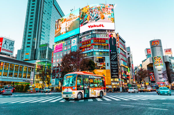 9 Things to Know About Hachiko – Japan’s Most Devoted Dog - Your Japan