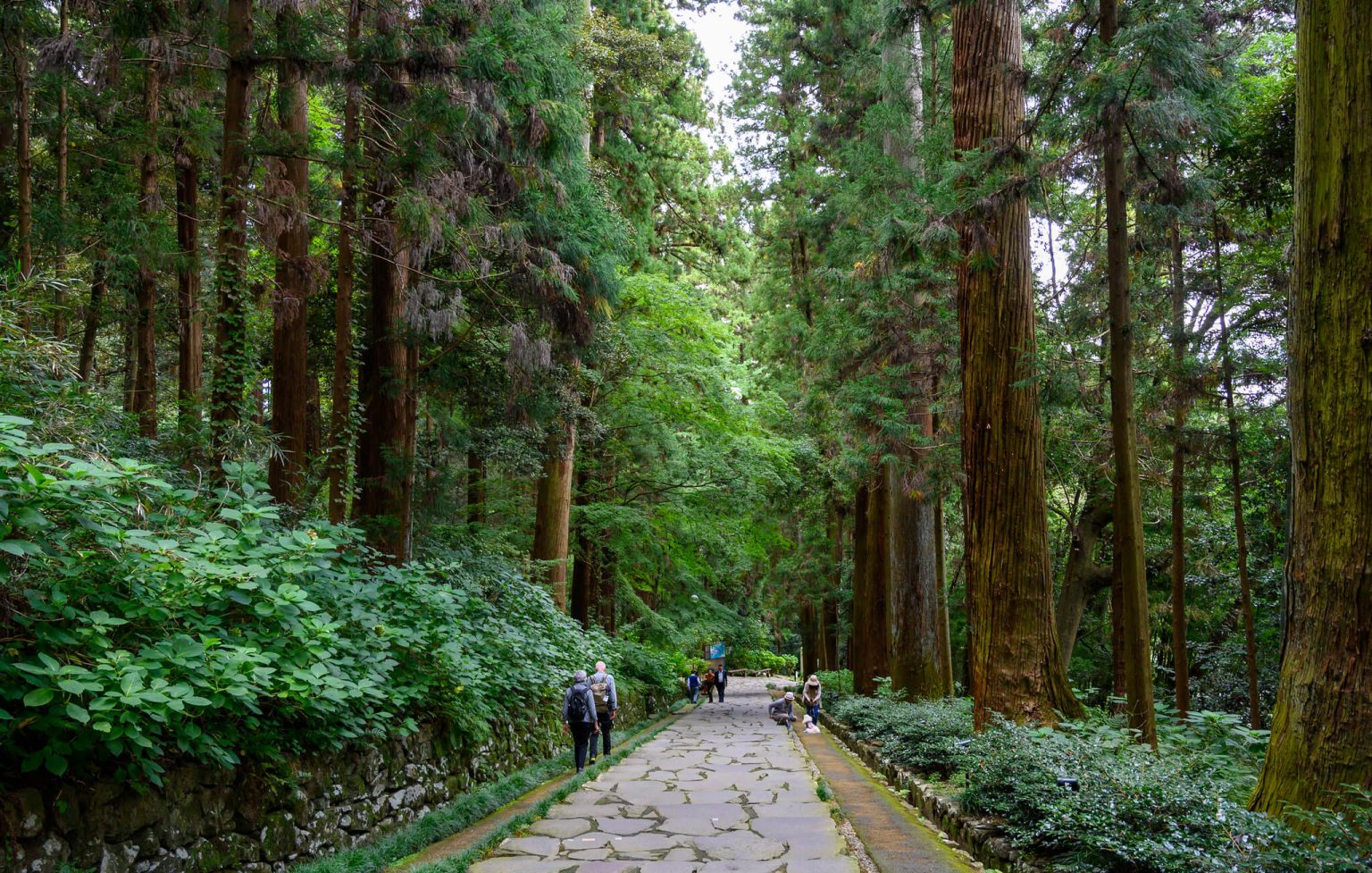 Sendai Travel Guide - 9 Best things to do in Sendai - Your Japan