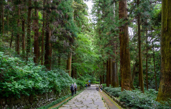 Sendai Travel Guide - 9 Best things to do in Sendai - Your Japan