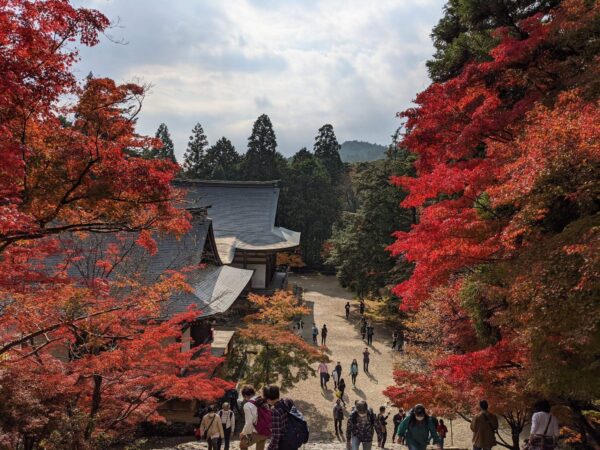 10 Free Things to do in Kyoto - Your Japan
