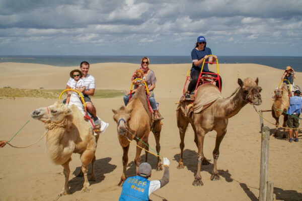 11 Things To Do in Tottori Prefecture - Your Japan