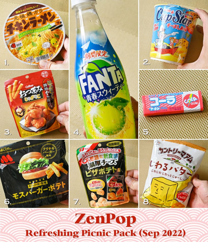 ZenPop Subscription Box Review - Your Japan