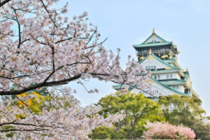 Law & Use of Weed in Japan: Toker Tourist Guide - Your Japan