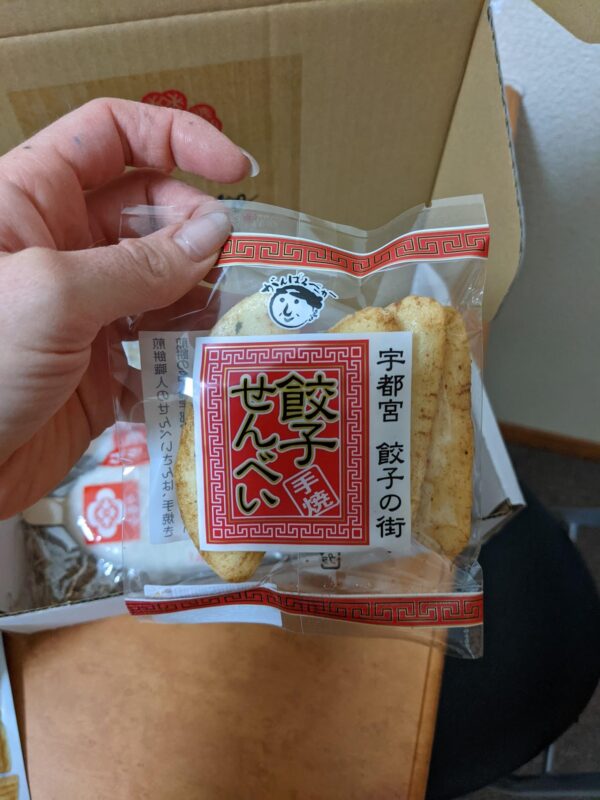 Kokoro Care Package Review - Your Japan